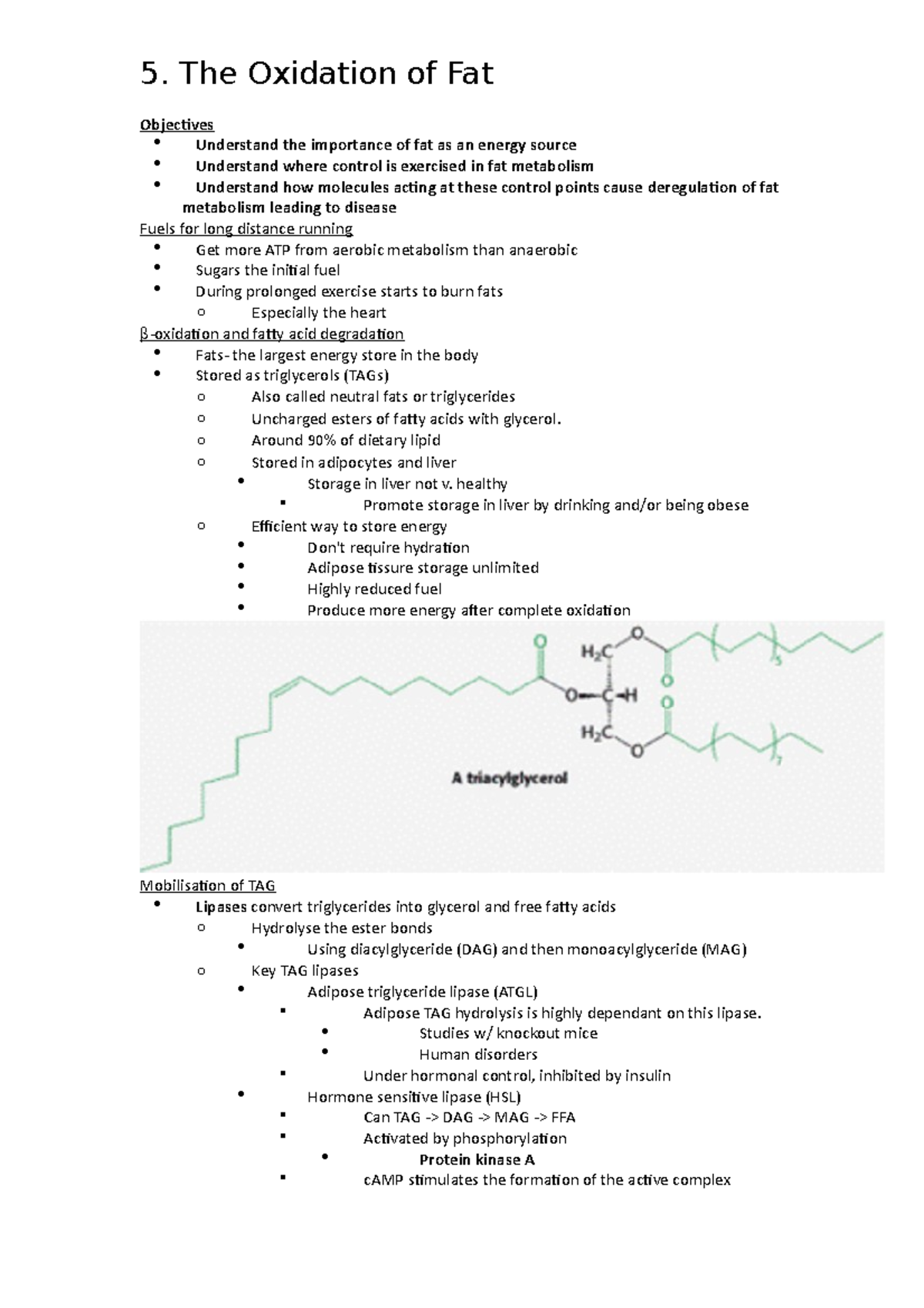 5. The Oxidation of Fat - 5. The Oxidation of Fat Objectives Understand ...