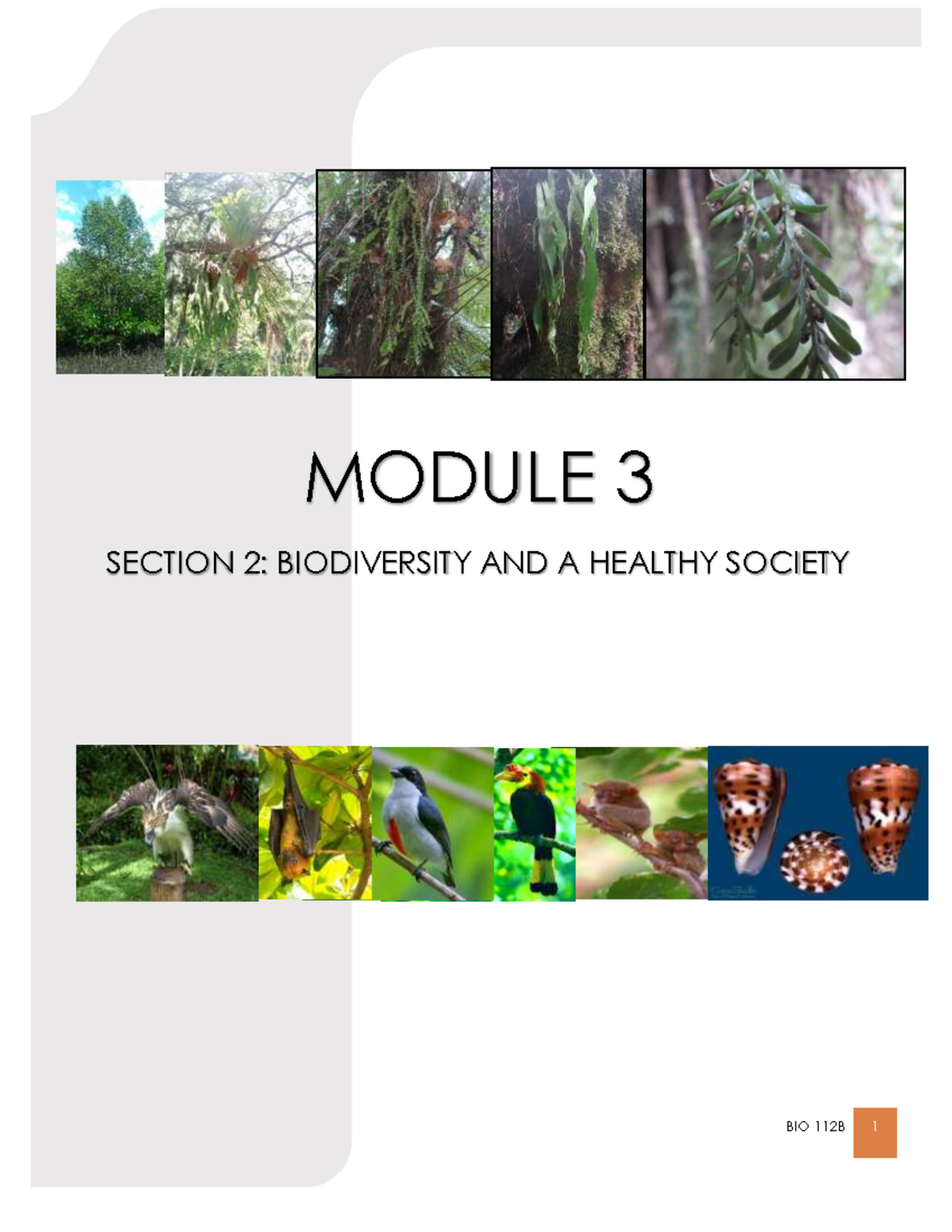 Module 3 Sec 2 - MODULE 3 SECTION 2: BIODIVERSITY AND A HEALTHY SOCIETY ...