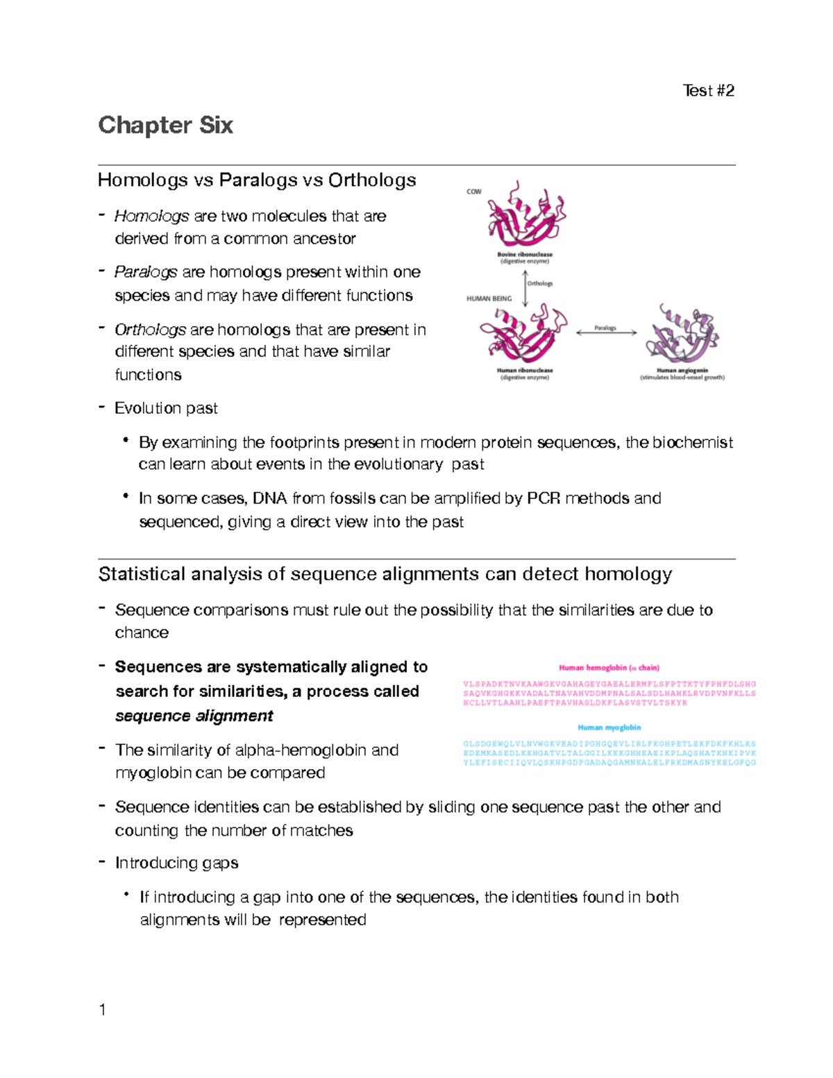 Chapter 6 biochem - Test #2 Chapter Six Homologs vs Paralogs vs ...