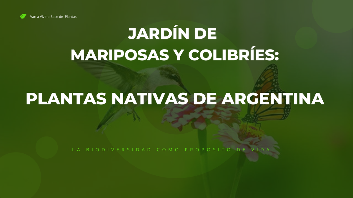 Jardín de Mariposas y Colibríes Plantas Nativas de Argentina - JARDÍN ...