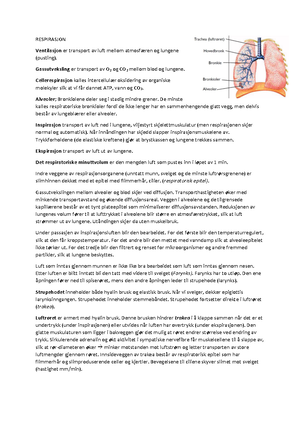 Medeasy - Sirkulasjonssystemet - Introduksjon til sirkulasjon Sirkulasjonssystemet oppgaver: 1 ...