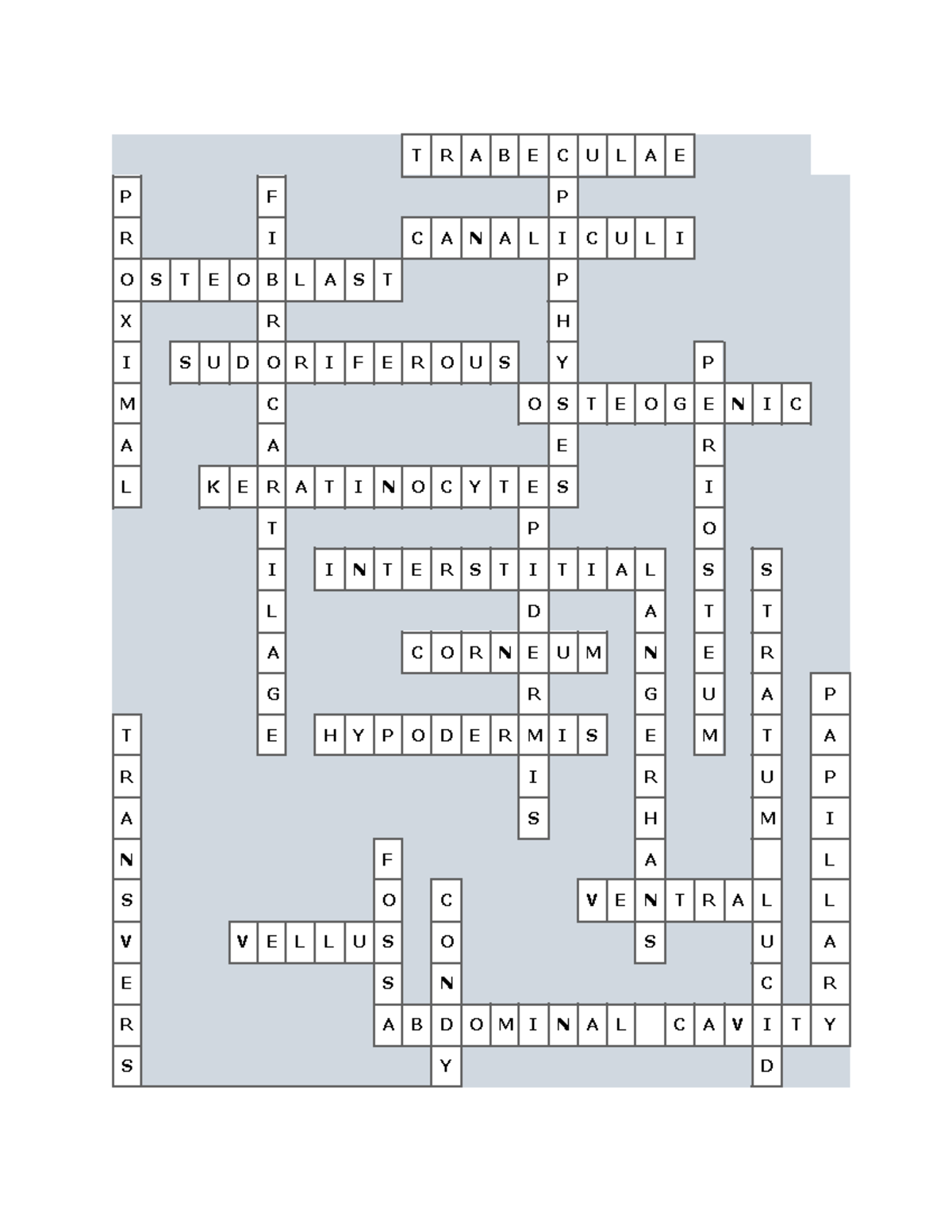 Anatomical Terms, Skin, Bone Tissue Crossword #1 VH ANP1106 - T R A B E ...