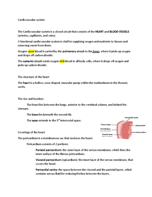 Module 11 Blood Typing Activity Worksheet - Transfusion Reaction ...