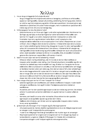 Den romerske antikken (S) - Den romerske antikken FORKLARE REPUBLIKKENS ...