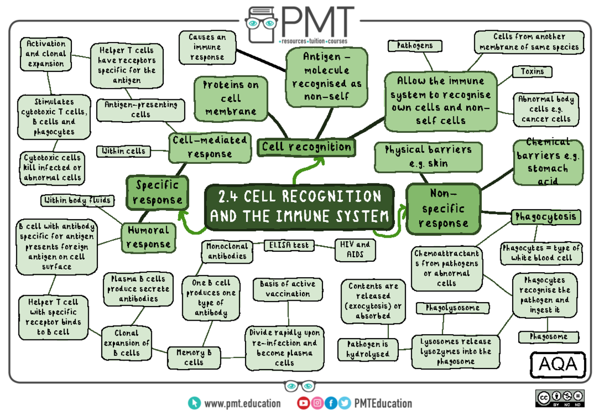 Cell Recognition and the Immune System - 2 CELL RECOGNITION AND THE ...