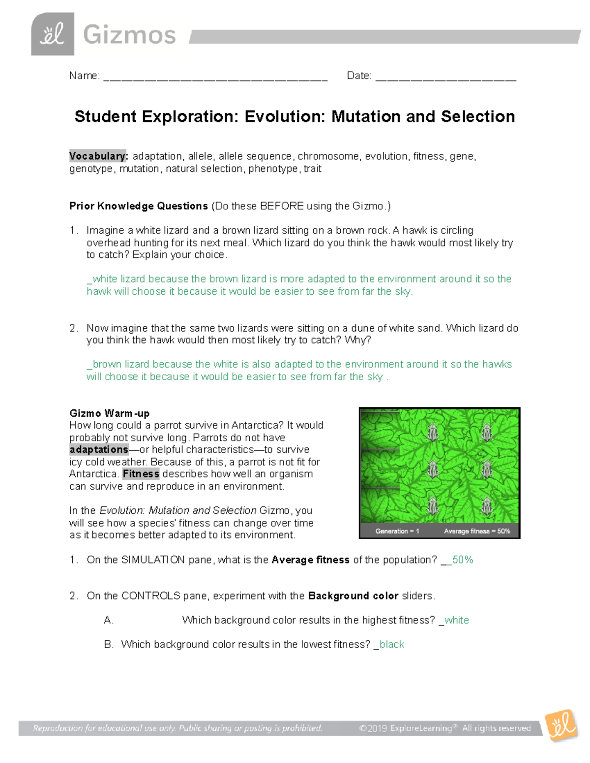 Evolution Mutation Selection SE - Name ...