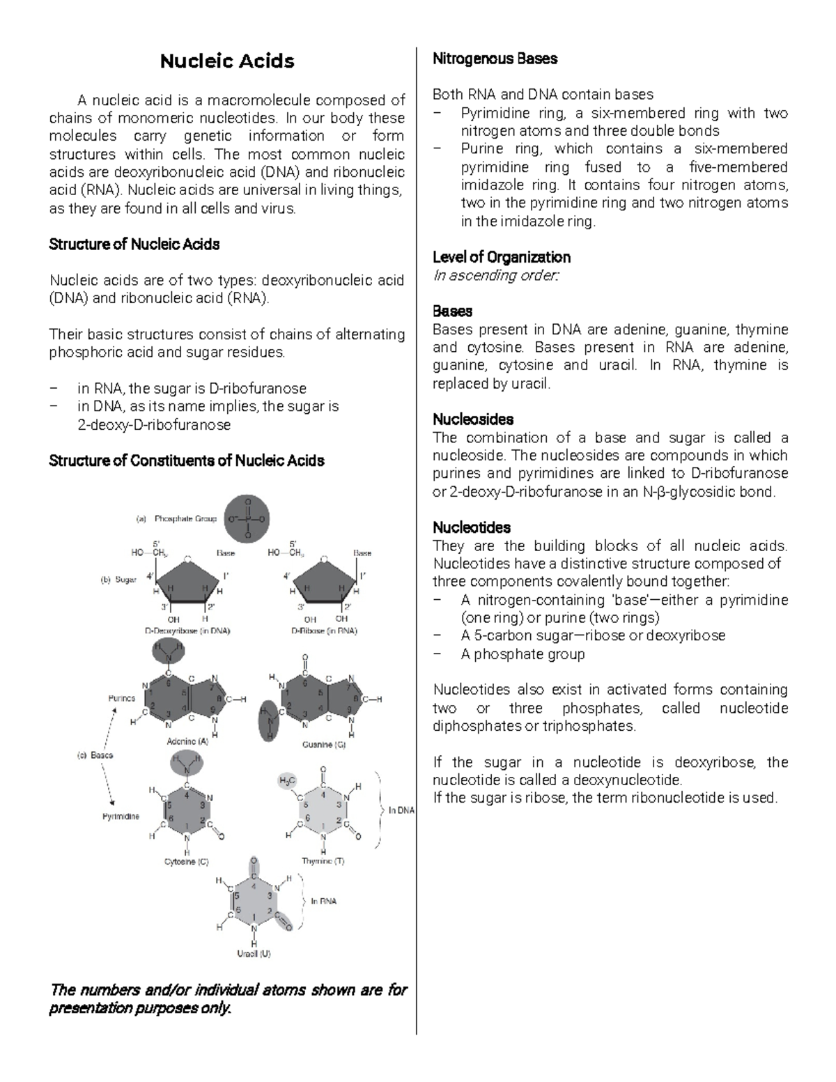 Nucleic Acids - In our body these molecules carry genetic information ...