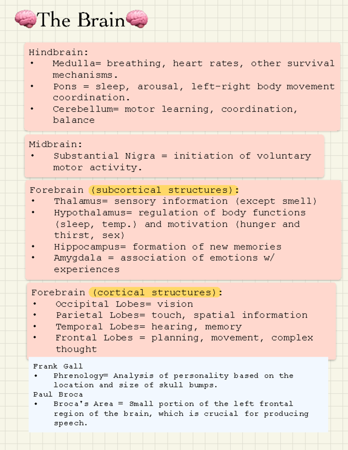 Psychology 6 - Chapter 2 - The Brain Hindbrain: • Medulla= breathing ...