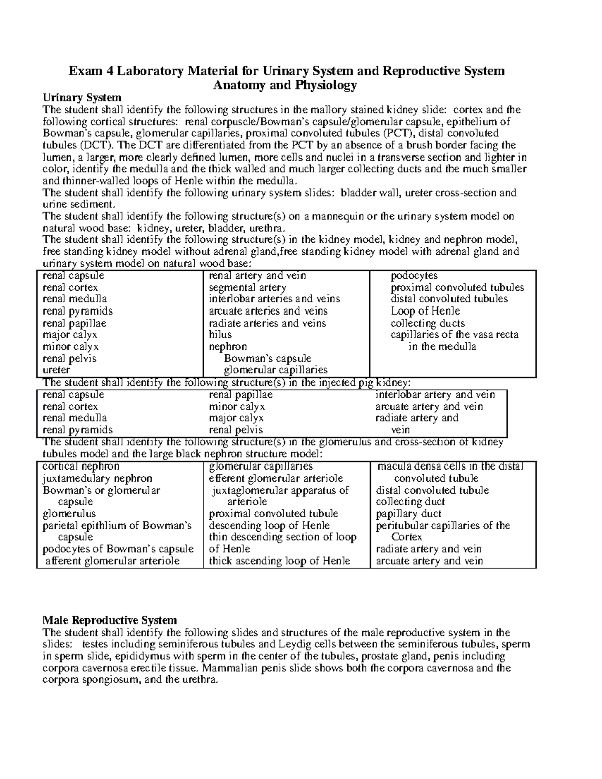 Lab Exam 4 List - lab exam - Exam 4 Laboratory Material for Urinary ...