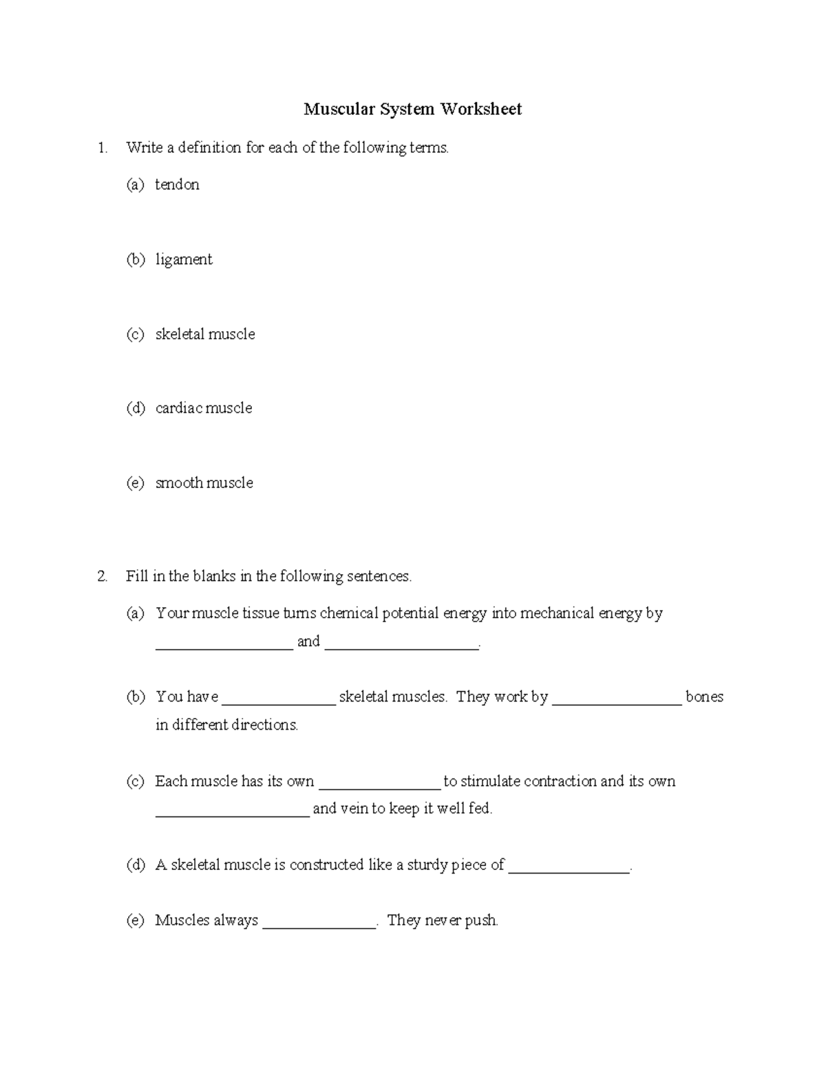 Muscular System worksheet - Muscular System Worksheet Write a ...