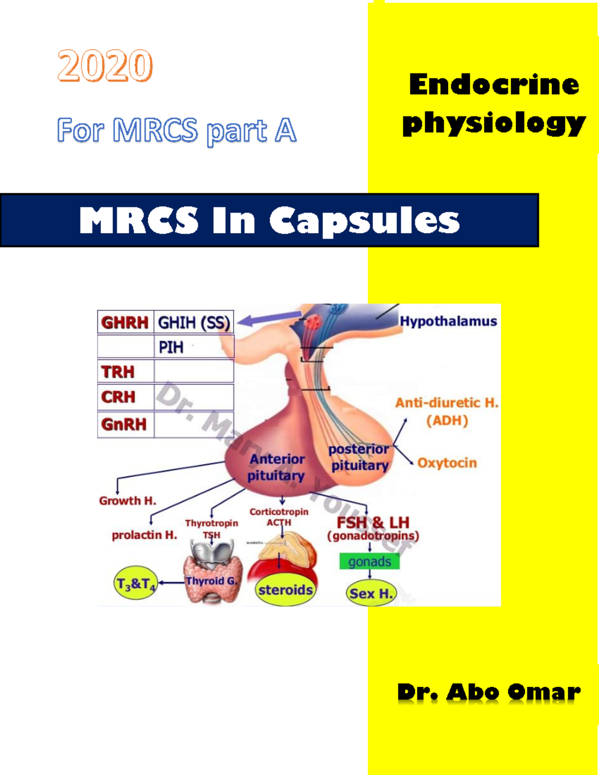 Endocrine physiology final - Endocrine physiology Dr. Abo Omar MRCS In ...