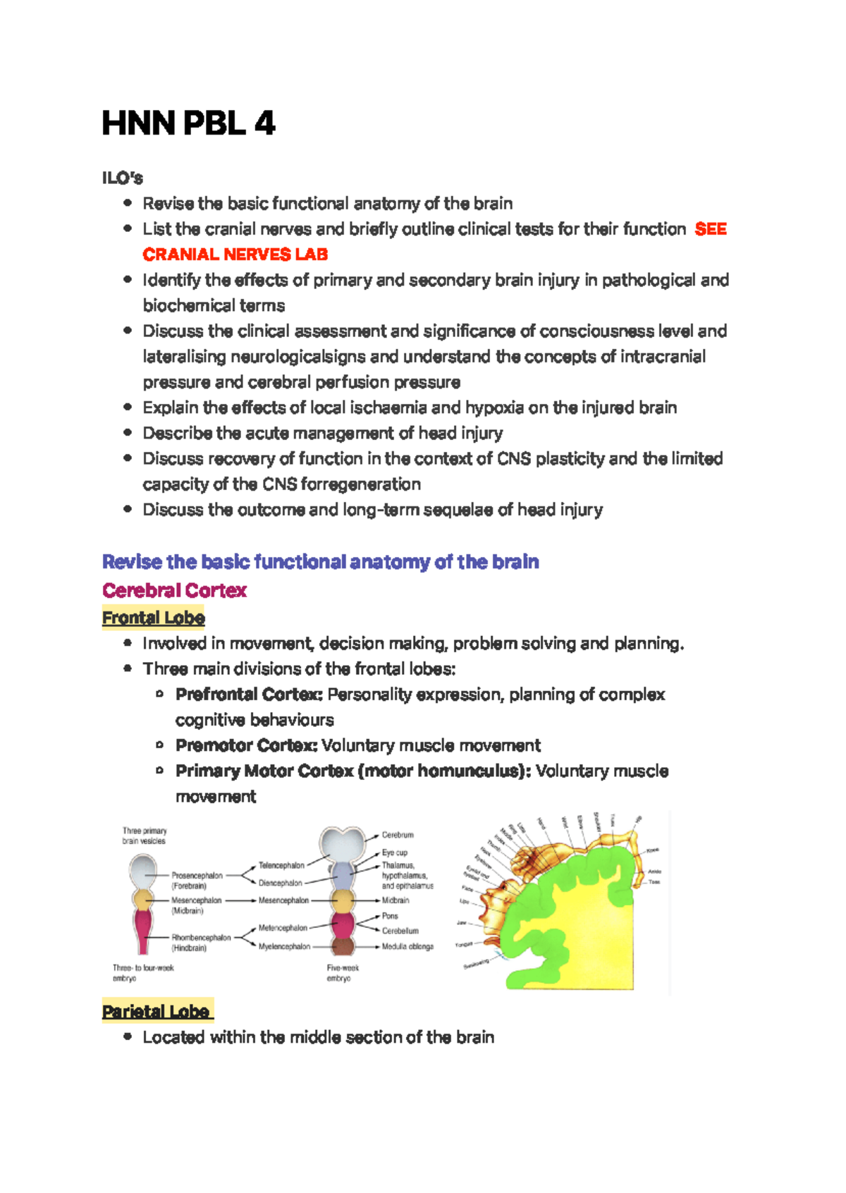 HNN PBL 4 - Head Neck and Neuro PBL4 Summary - H N N P B L 4 ILOʼs ...