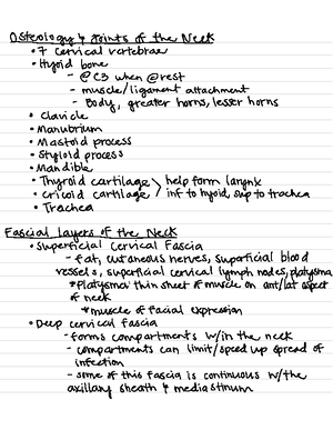 Lab 13 Gluteal Post Thigh Leg Notes - Notes Lesson Title: Gluteal ...