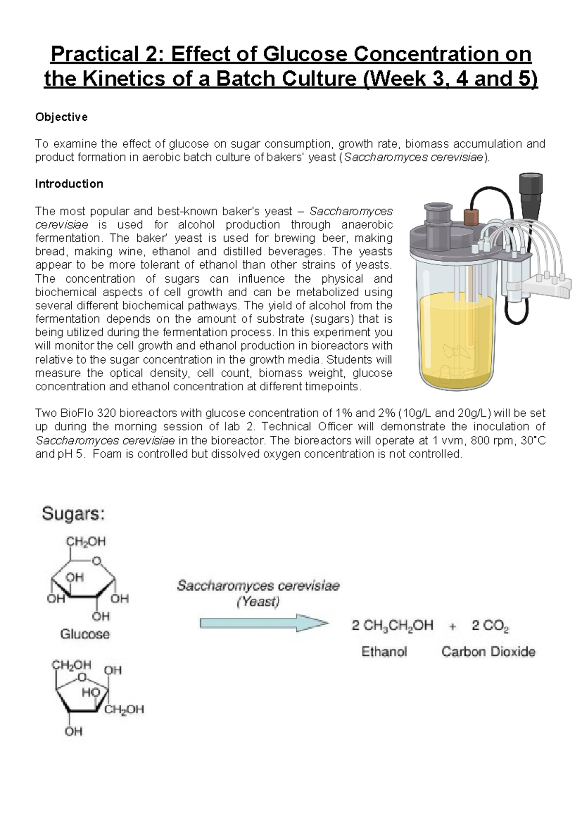 2024 Experiment 2 Laboratory Manual - Practical 2: Effect of Glucose ...