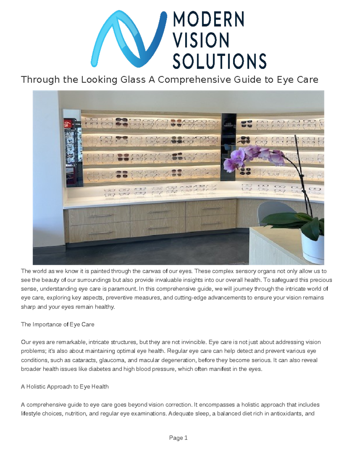 Modern Vision Solutions Optometry Omaha - Through the Looking Glass A Comprehensive Guide to Eye ...