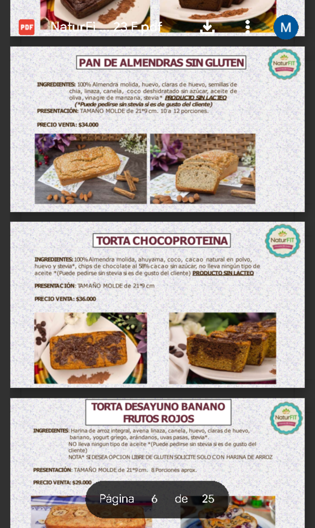Natur Fit Portafolio 2023 F.pdf - Google Drive - Página 5 de 25 PAN DE ...