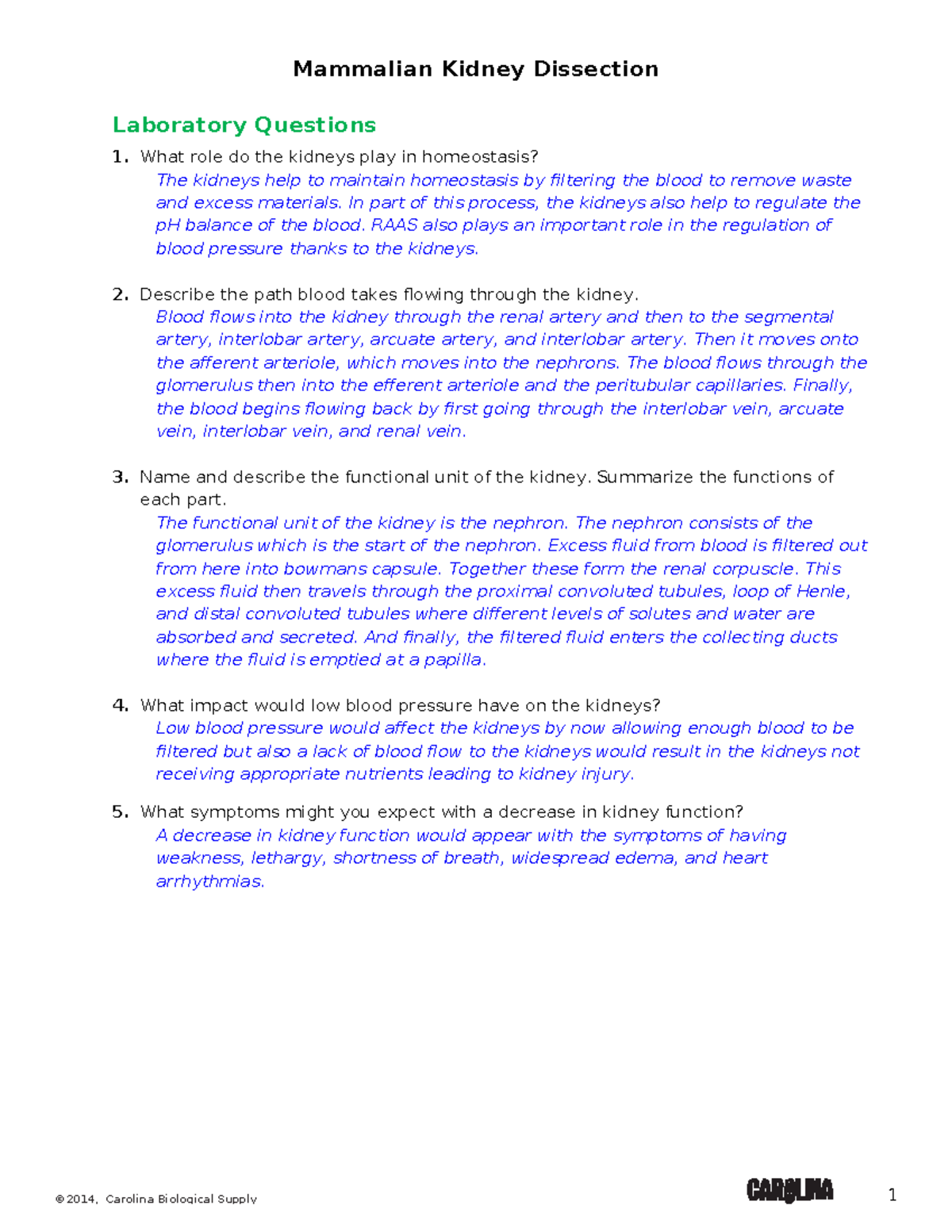 Kidney Dissection Pre Lab - ©2014, Carolina Biological Supply 1 ...