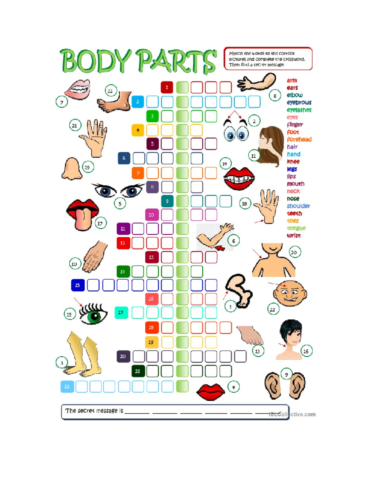 BODY Parts Wordpuzzle - ... - BODY PARTS Match the words to the correct ...