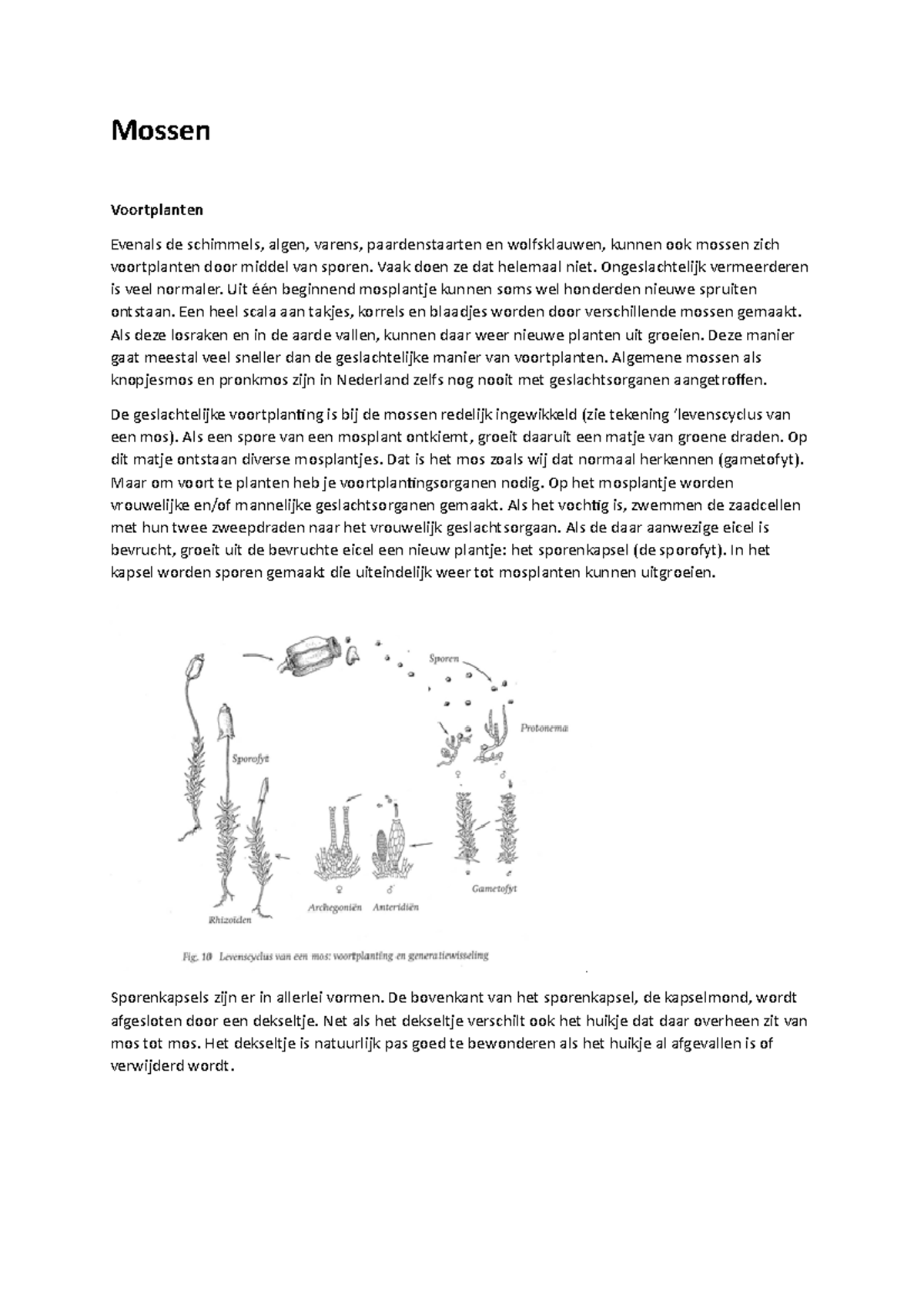Mossen voor soortenkennis - Mossen Voortplanten Evenals de schimmels ...