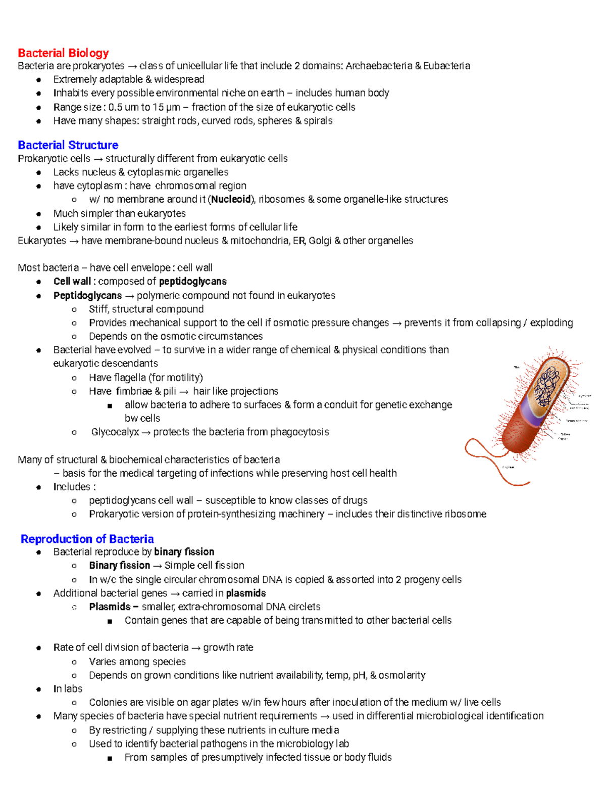 CHAPTER 6 Bacteria and Bacterial Infections - Bacterial Biology ...