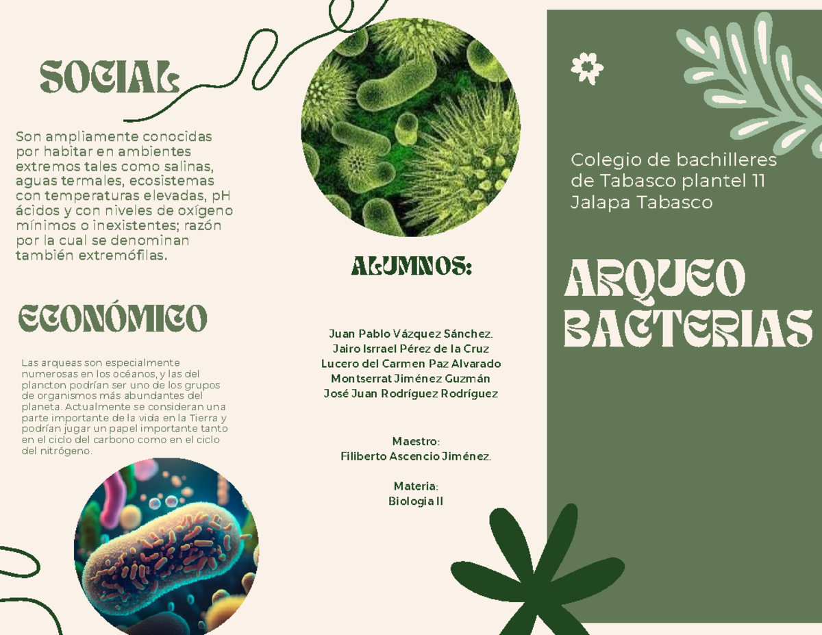 Arqueobacteriad - Triptico - SOCIAL Las arqueas son especialmente ...
