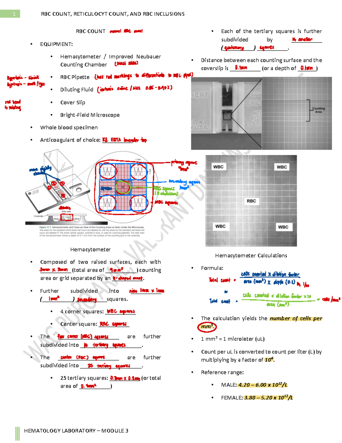 RBC Count Reticulocyte Count AND RBC Inclusions - RBC COUNT EQUIPMENT ...