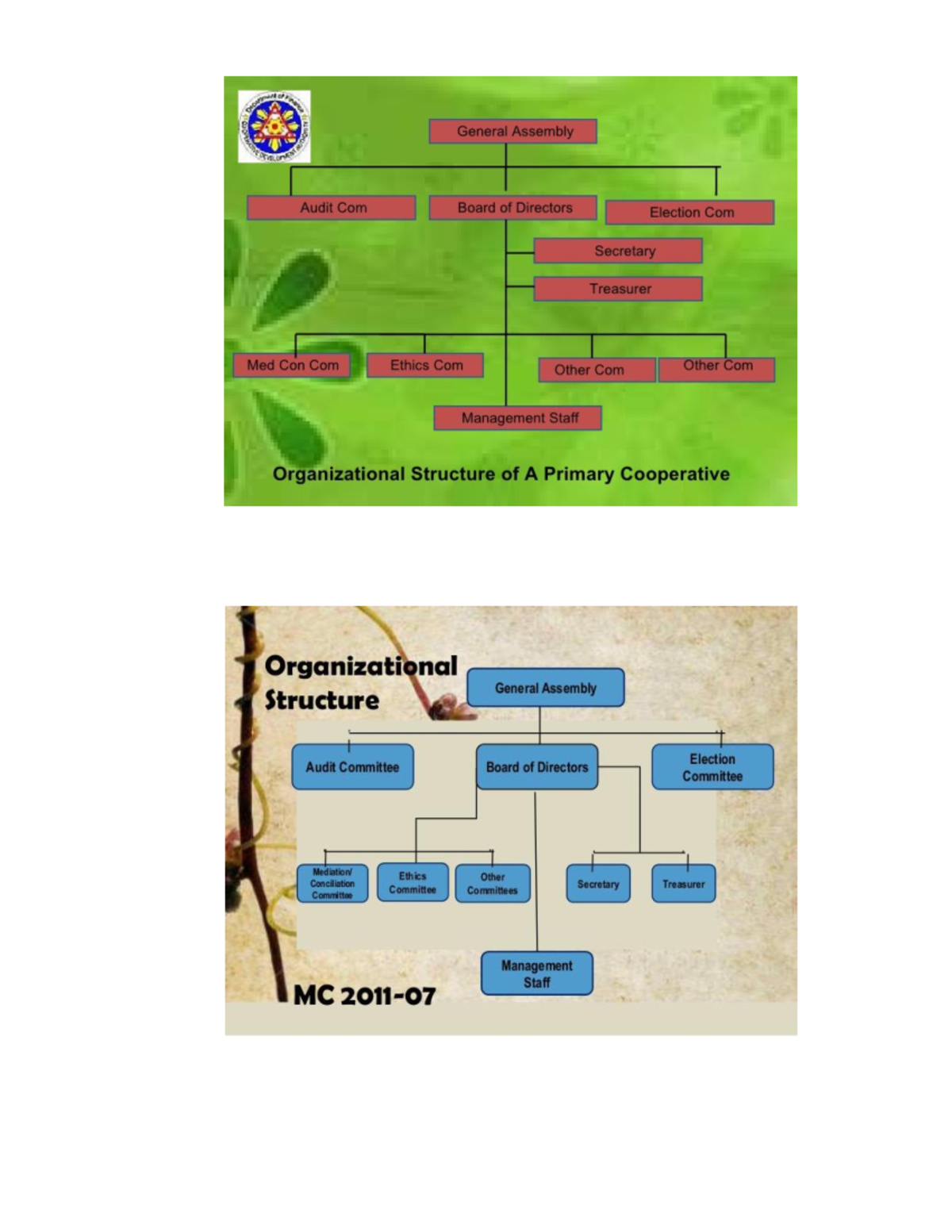 Coop-Structure - Coop structure - Member Relations and Office ...