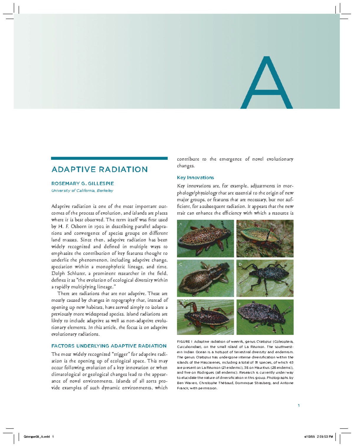 Eo IAdap Rad A 1 - ZOOLOGY notes - 1 A ADAPTIVE RADIATION ROSEMARY G ...
