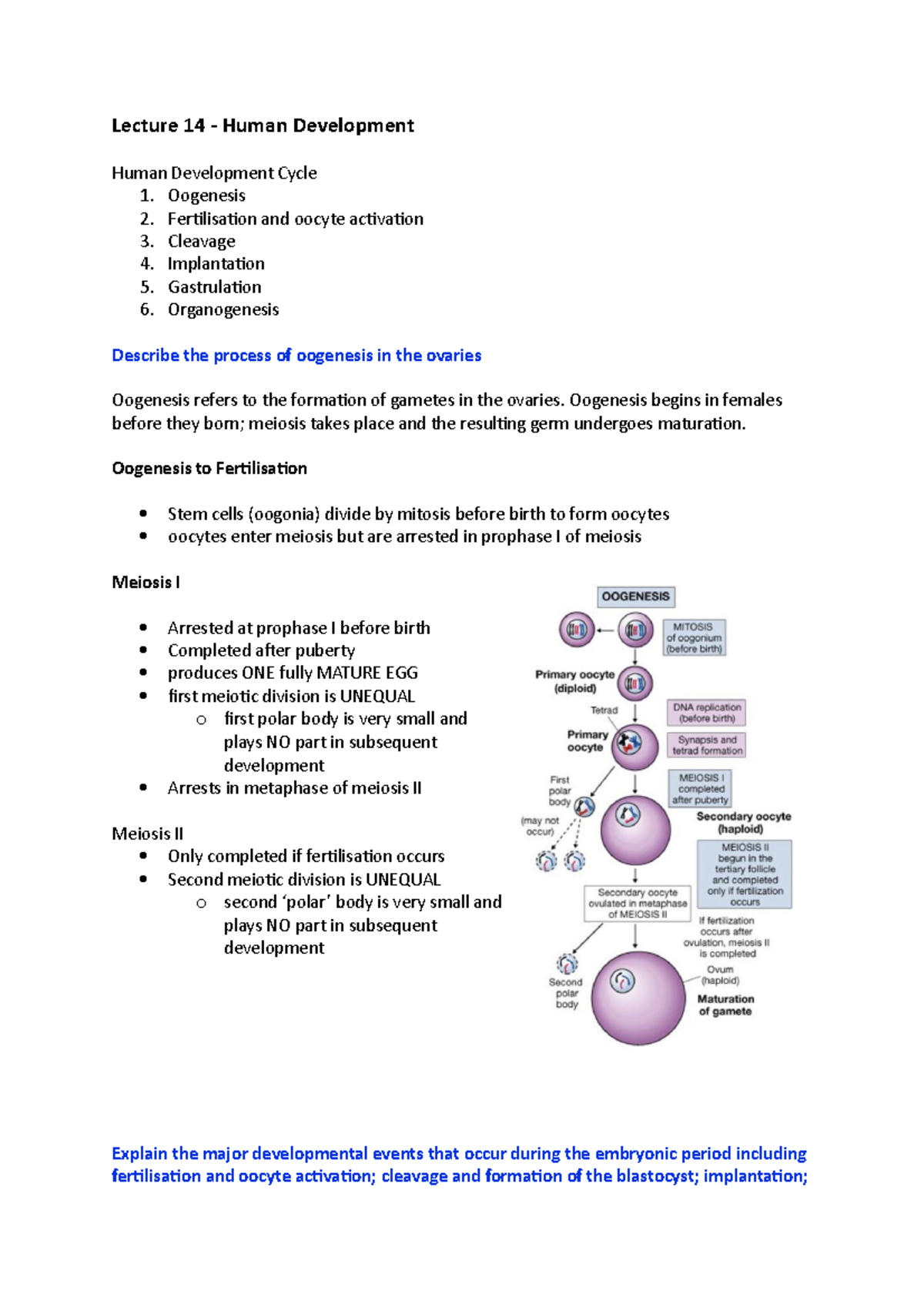 Lecture 14 - Human Development - Lecture 14 - Human Development Human ...