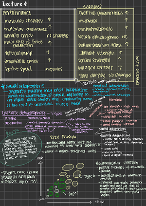 KIN421 - KIN 421 with Dr.Anton Exam 1 Lectures - Amidtransient increase ...