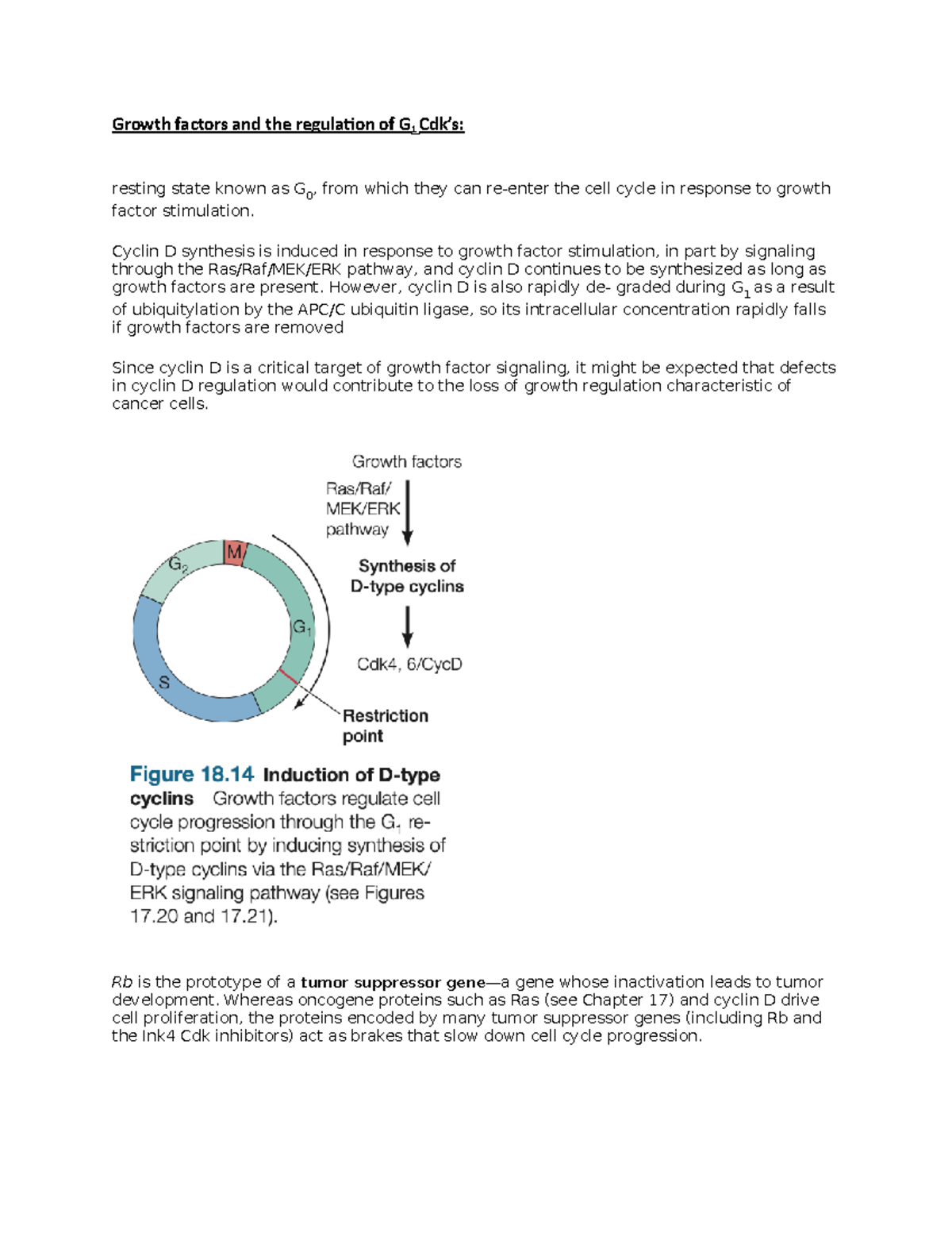 Bio 265 topic 11 - Growth factors and the regulation of G 1 Cdk’s ...