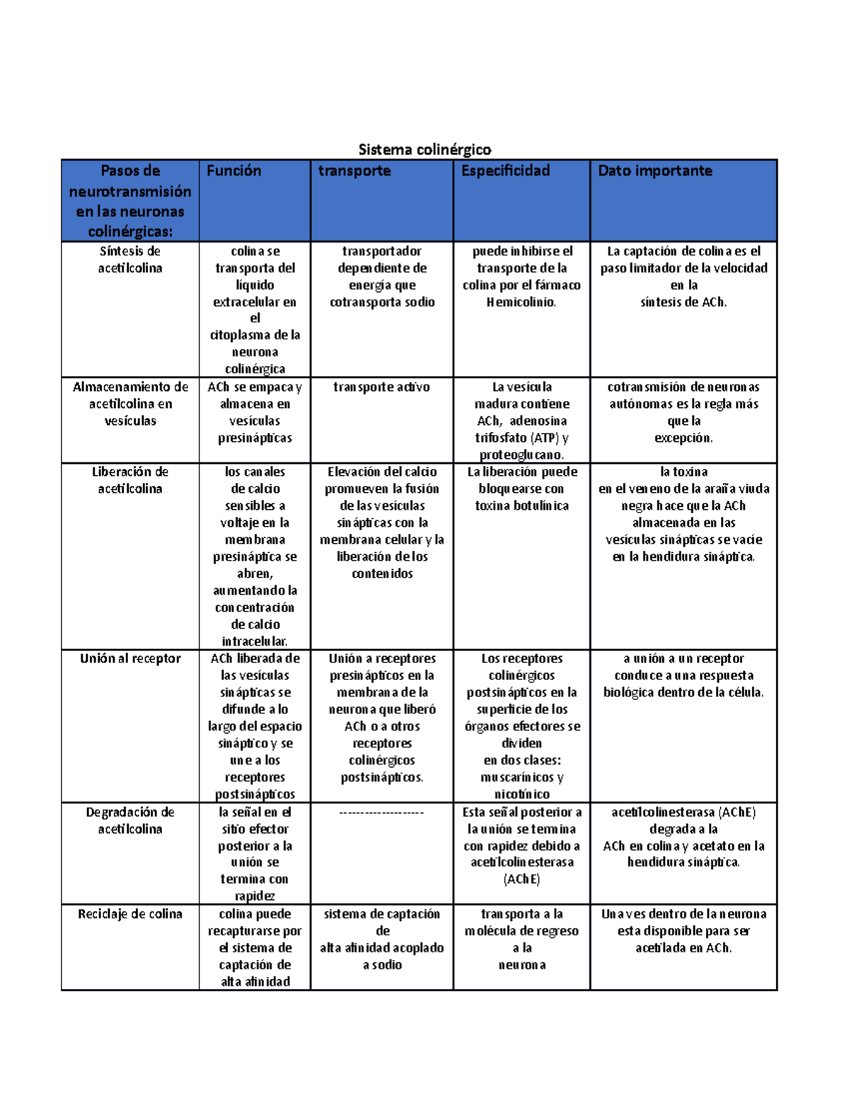 Sistema colinérgico - Sistema colinérgico Pasos de neurotransmisión en ...