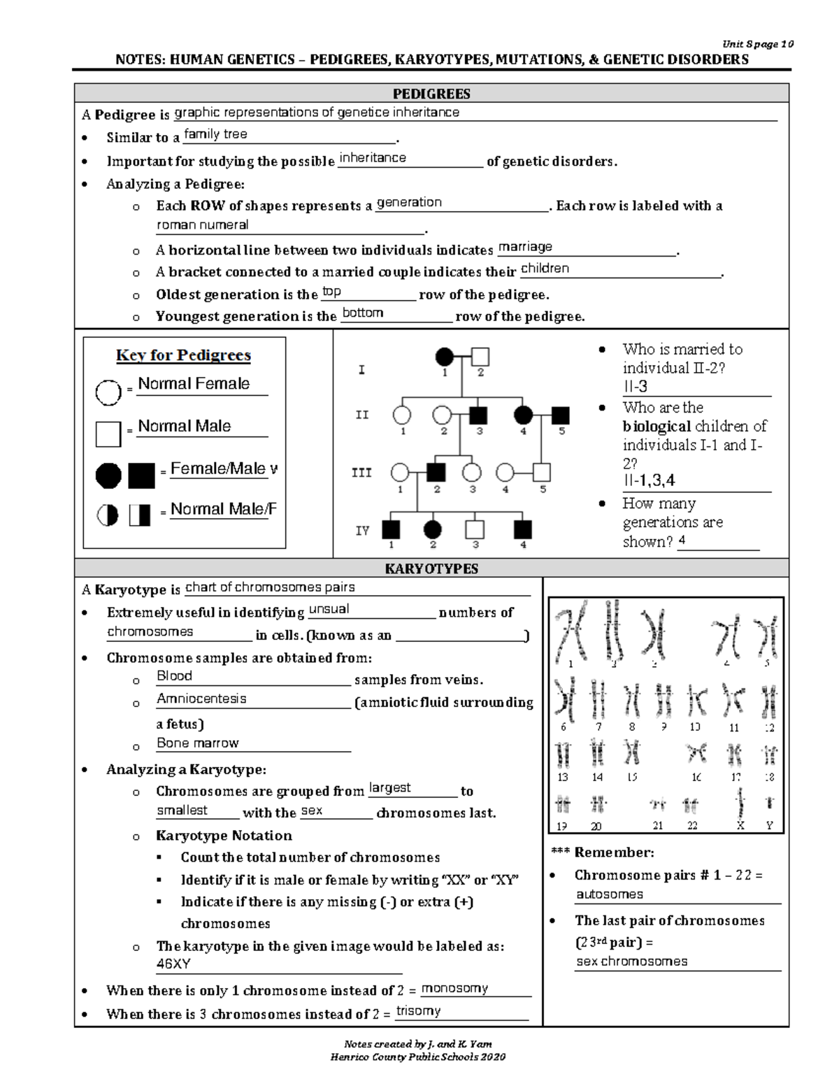 Bio Unit 8 - Human Genetics Notes 2020 SC - NOTES: HUMAN GENETICS ...