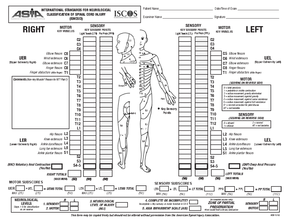 International Stds Diagram Worksheet - C C C S S L S L L L L L T T T T ...