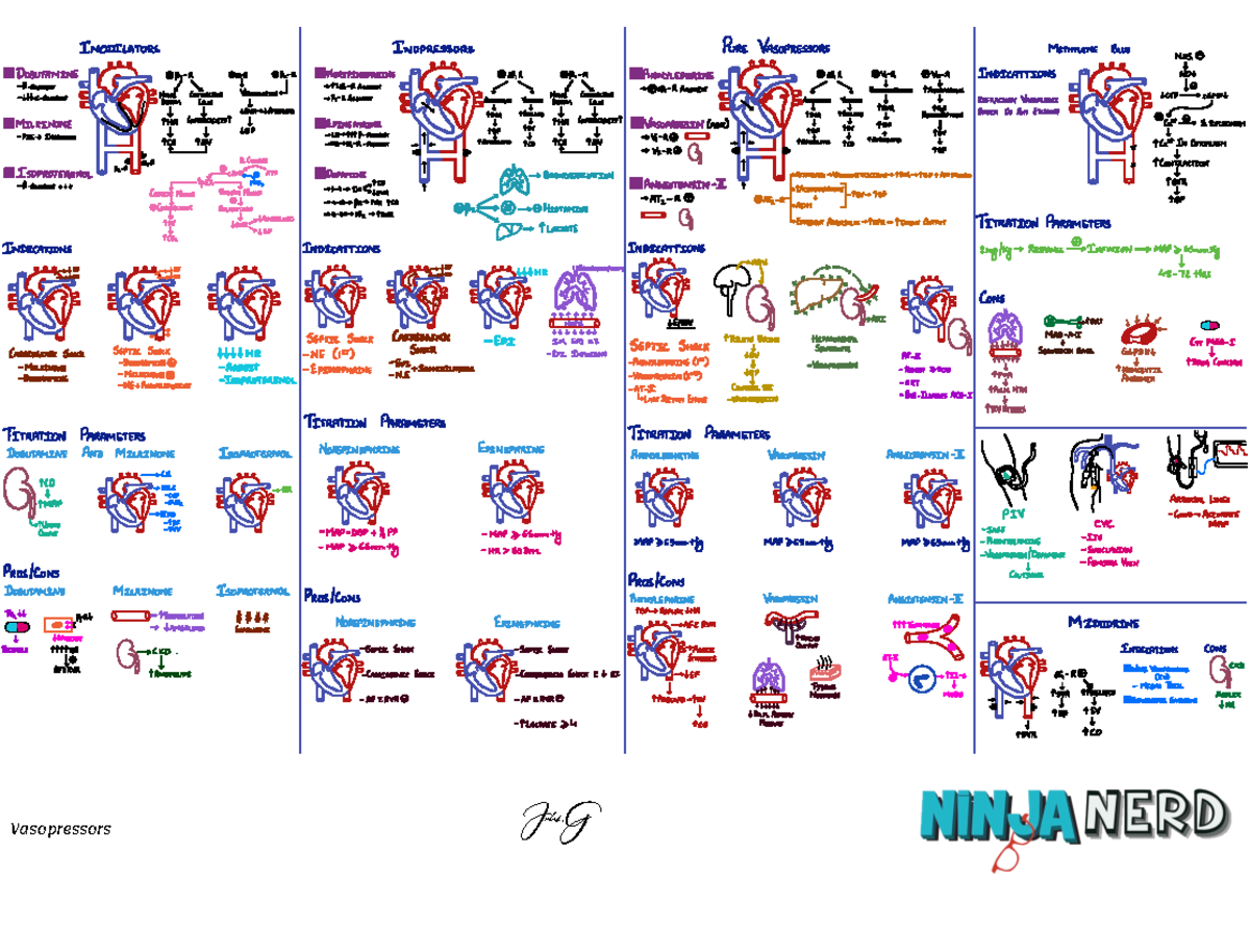 Vasopressors Illustration atf - INODILATORS INOPRESSORS PURE ...