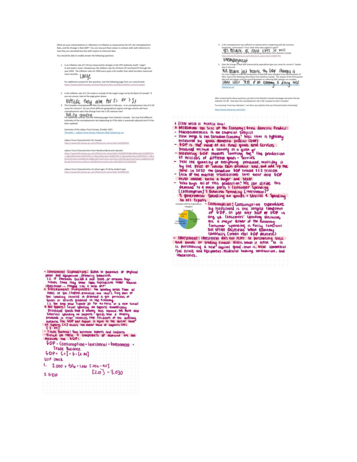 Weekk 11 work - Notes - ECON 101 - Studocu