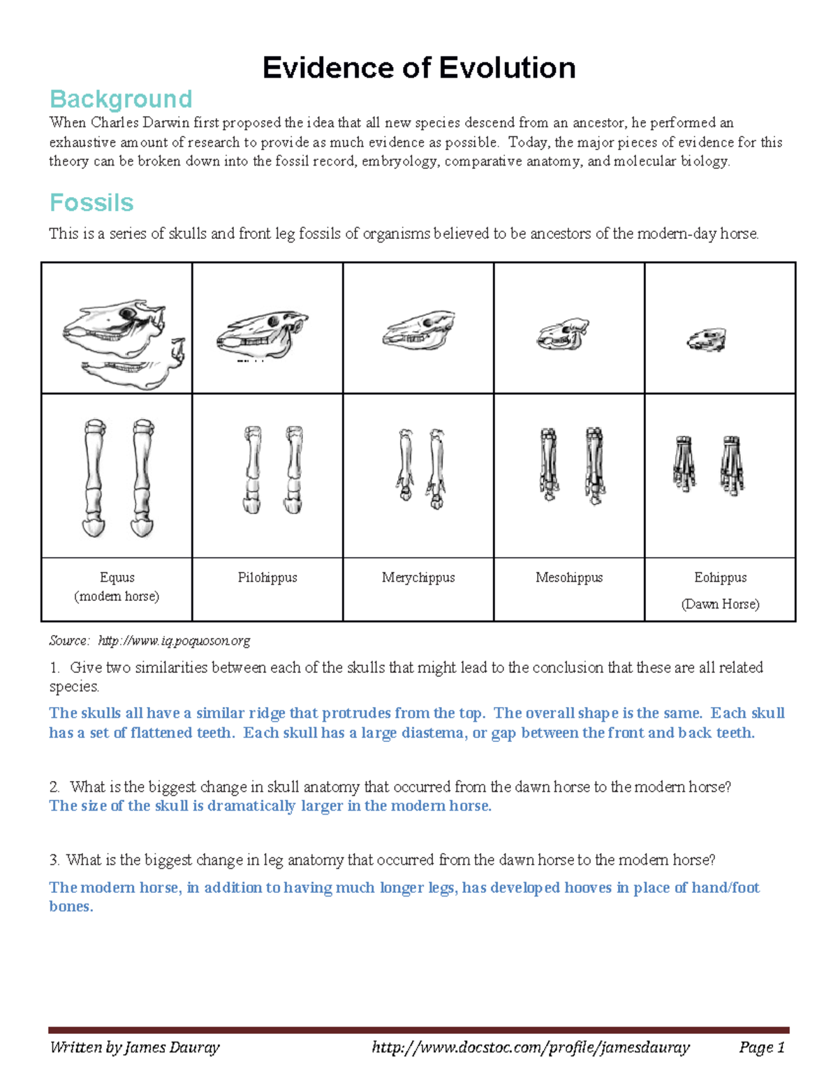 Evidence Of Evolution Answer Key Evidence Of Evolution Background 