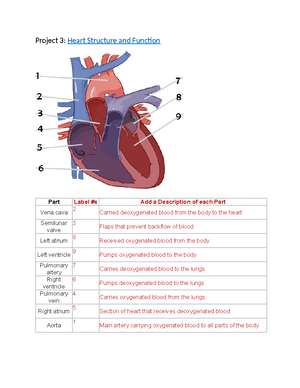 Macromolecule Pogil - Questions : Look at the picture above, how many ...