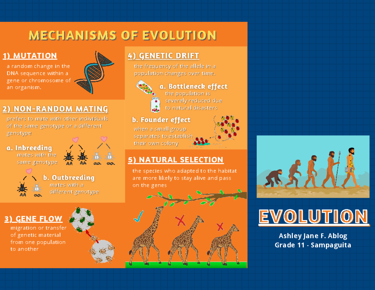 Earth & Life Science (Evolution brochure) - prefers to mate with other ...