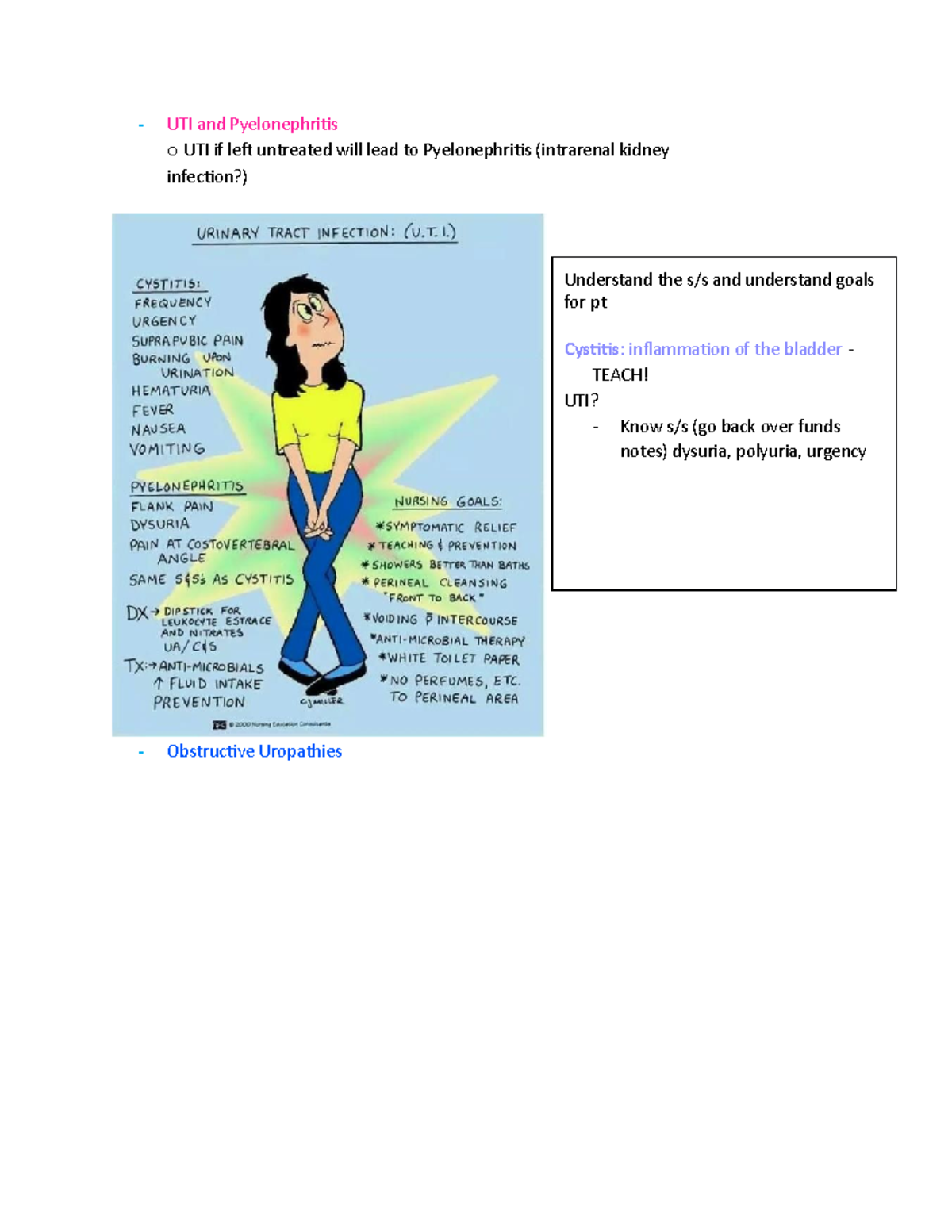 UTI and Pyelonephritis - Studocu