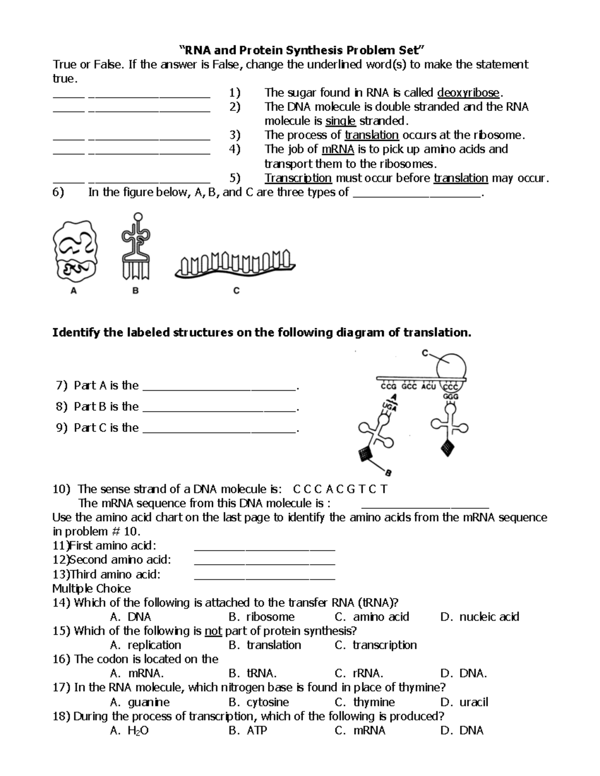 RNA and Protein Synthesis Problem Set - “RNA and Protein Synthesis ...