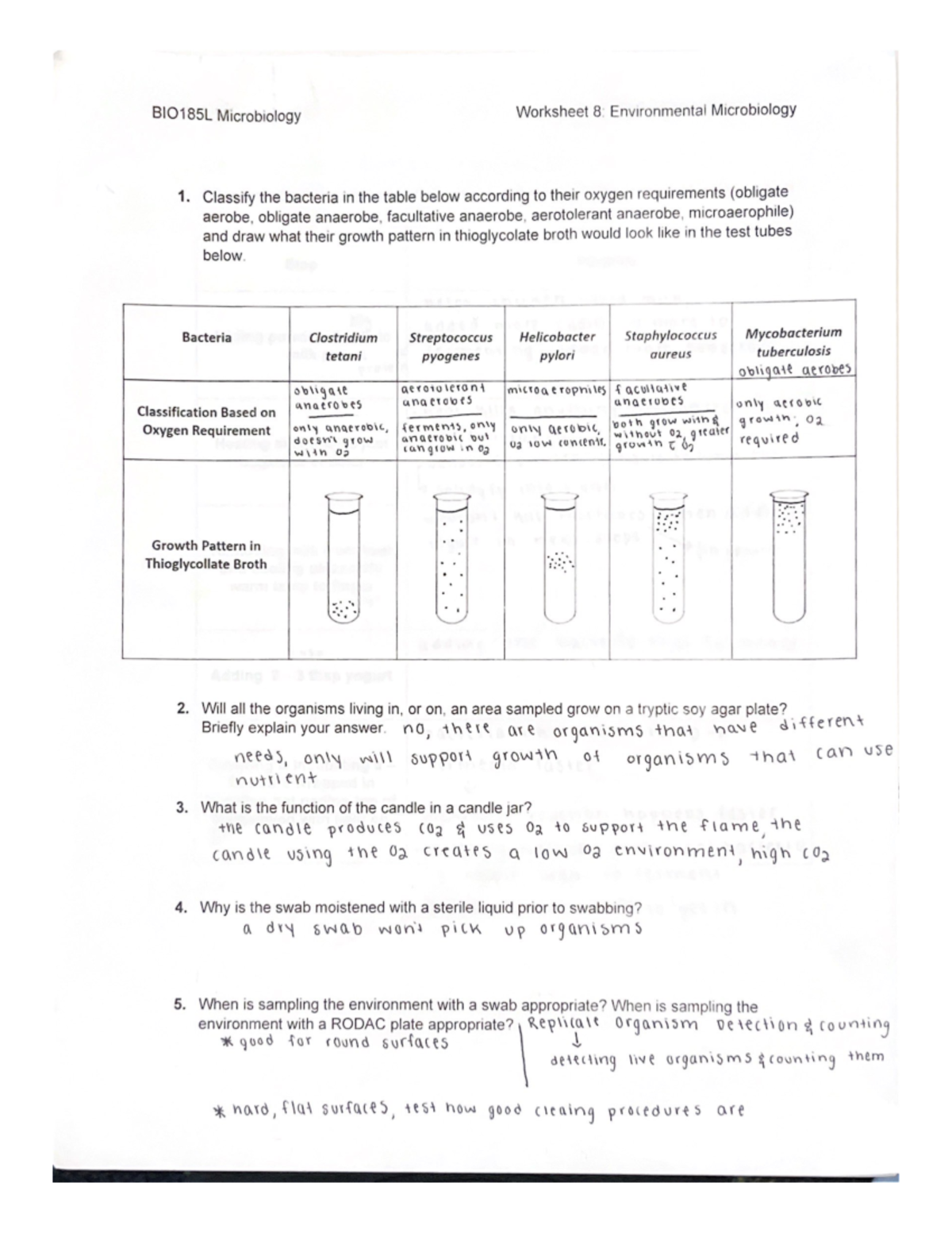 Micro 1 - BIO 185 - Studocu
