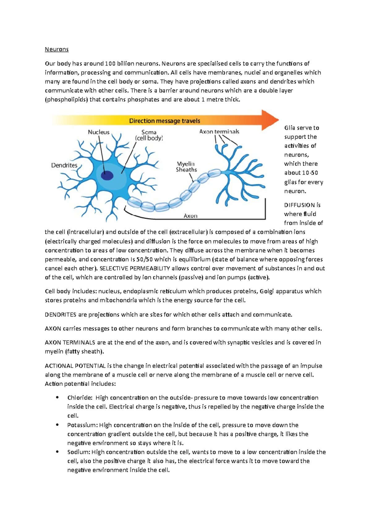Neurons - Lecturer Derek Larkin - PSY2115 - EdgeHill - Studocu