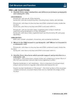 Cell Structure Virtual Lab Animal Cells and Plant Cells - Studocu