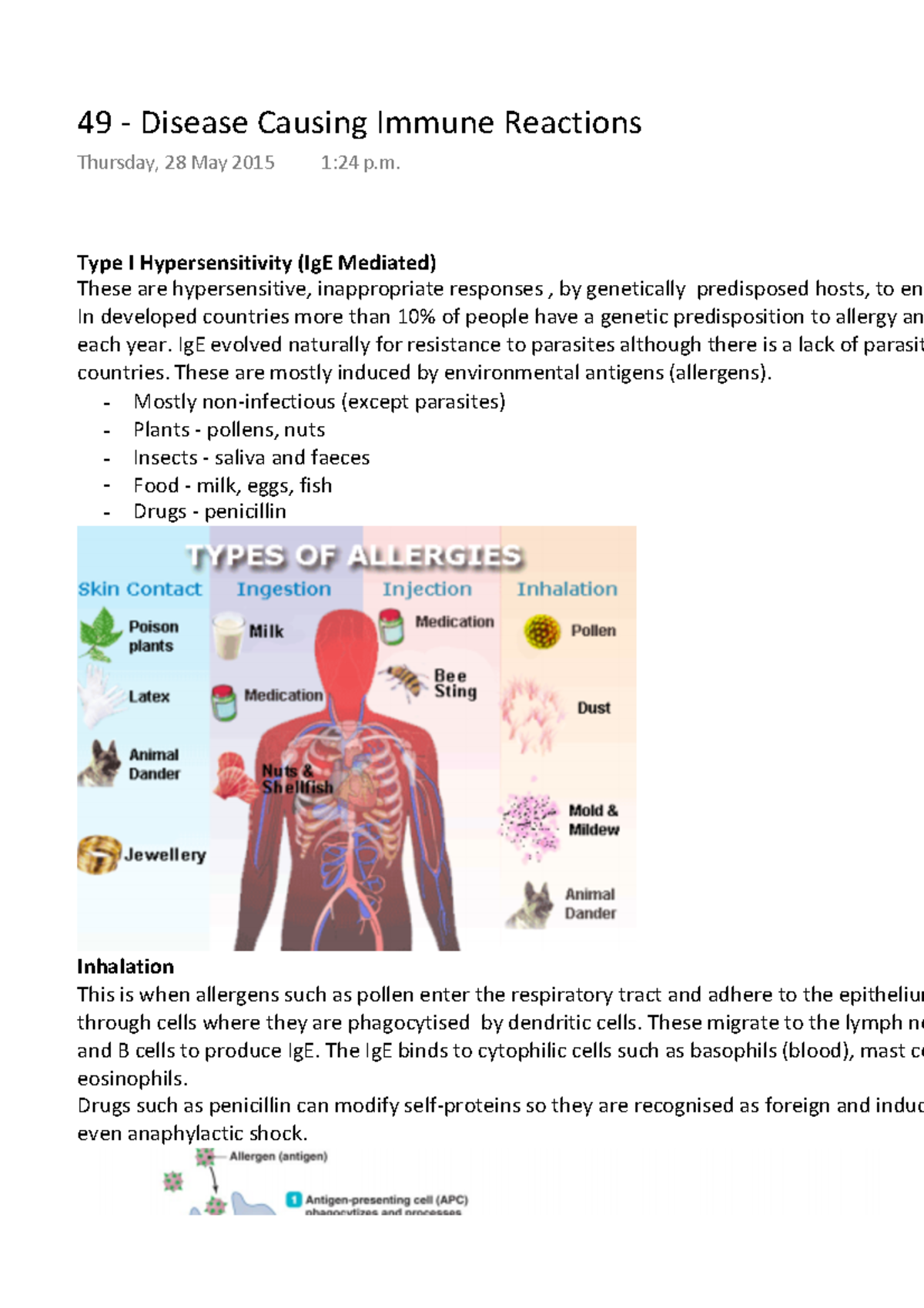49 - Disease Causing Immune Reactions - Warning: TT: undefined function: 32 Type I ...
