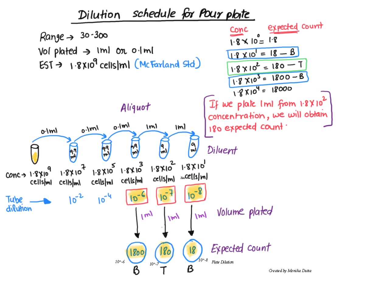 Dilution Schedule For Pour Plate Calculation And Cfu Ml Dilution