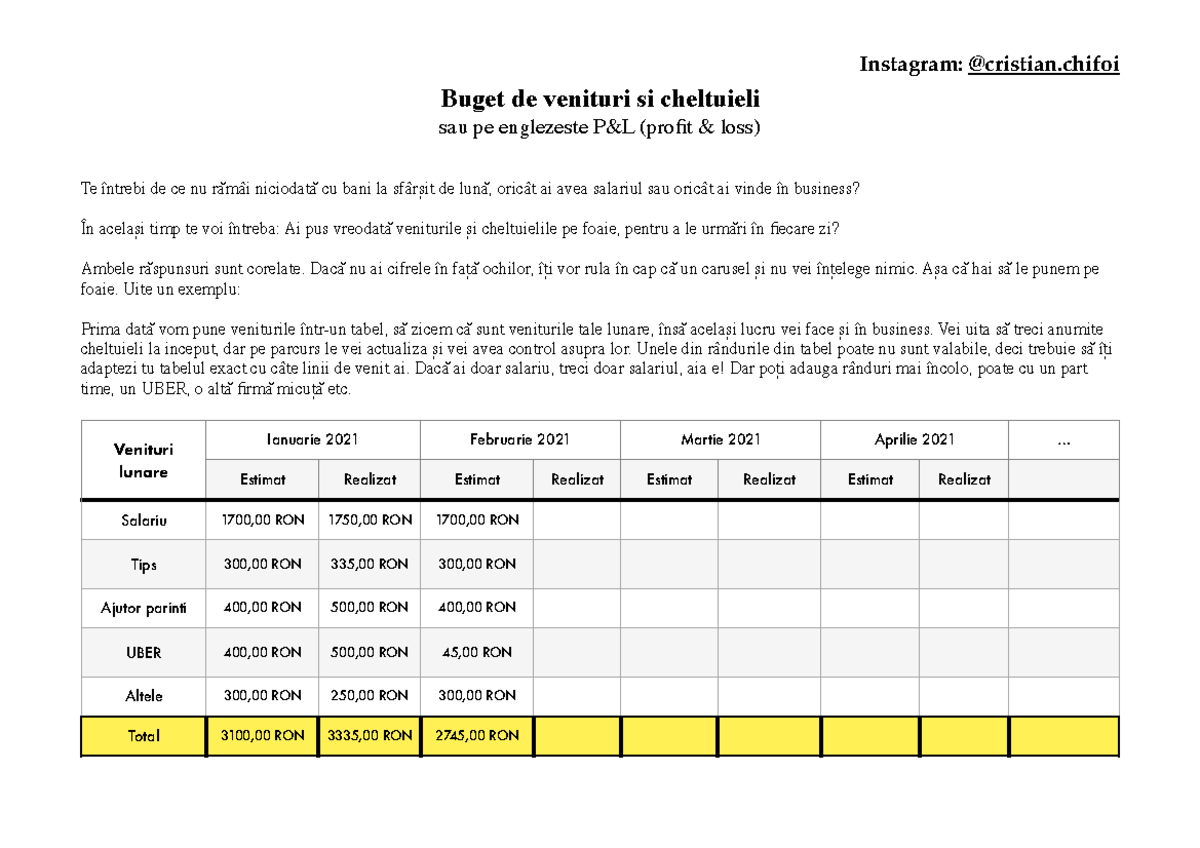 P&L template - Plan de afaceri - Buget de venituri si cheltuieli sau pe ...