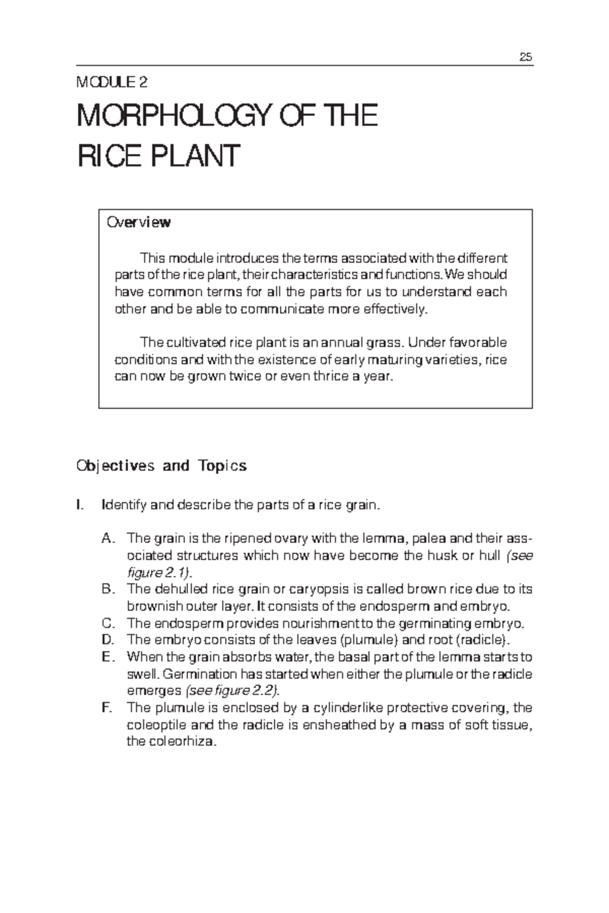 MORPHOLOGY OF THE RICE PLANT - MORPHOLOGY OF THE RICE PLANT ...