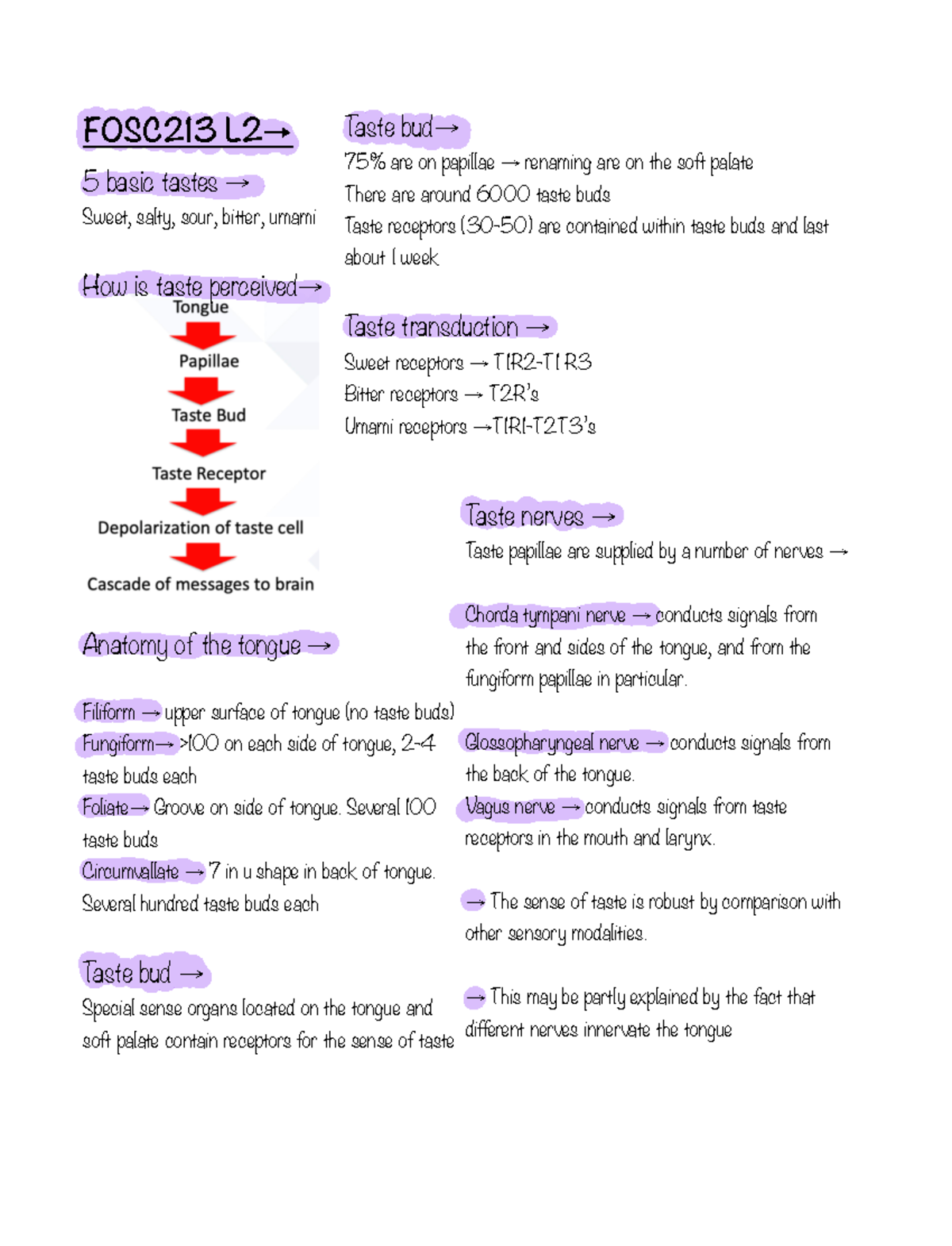 FOSC213 notes - 5 basic tastes → Sweet, salty, sour, bitter, umami How ...