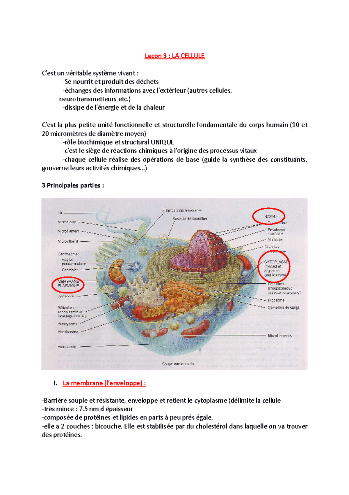 Lecon 3 La cellule - Leçon 3 : LA CELLULE C’est un véritable système ...